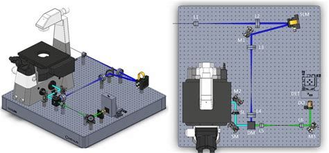 Schematic Optical Arrangement For Confocal Multibeam Flim Microscopy Download Scientific