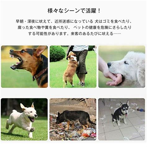 楽天市場無駄吠え防止器具 電気首輪 犬用しつけ用首輪 3モード 電気ショック 振動 ビープ音 最大400m以内通信操作可 充電式 IPX7