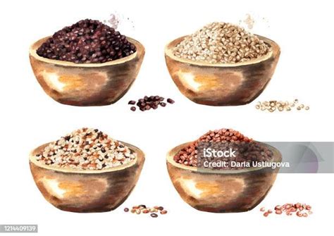 그릇 세트에 퀴노아 씨앗 흰색 배경에 고립 된 손으로 그린 수채화 그림 퀴노아에 대한 스톡 벡터 아트 및 기타 이미지 퀴노아 수채화 일러스트레이션 Istock