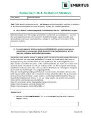 PGDDMS DMS Assignment Customize Strategy Template Docx Assignment Customize