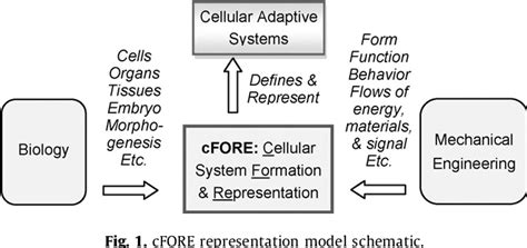 figure 1 from a synthetic dna based approach to design of adaptive