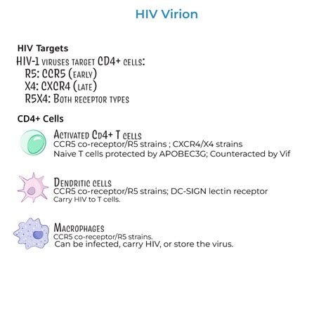 Clinical Pathology Glossary Hiv Virion Ditki Medical And Biological