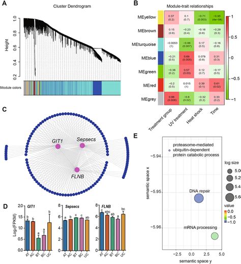 Identification Of Hub Genes Participated In Gynogenesis By Wgcna A