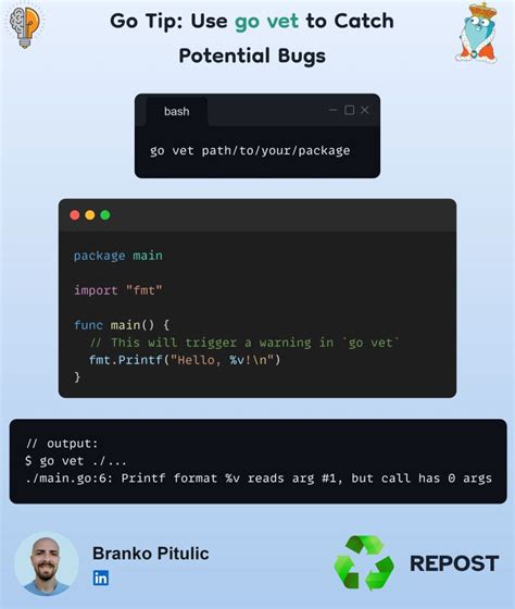 Branko Pitulic On Linkedin Go Golang Softwareengineering