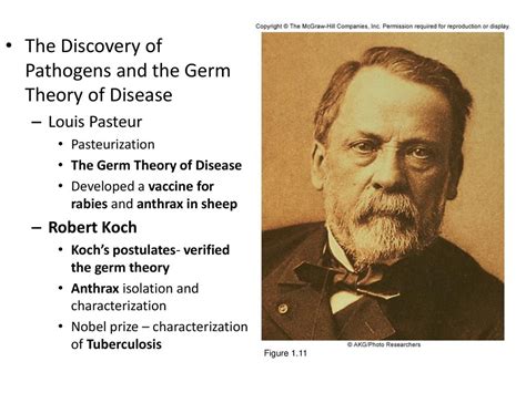 Microbiology A Systems Approach 2nd Ed Ppt Download