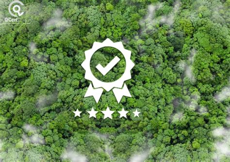 Start With Quality Iso 9001 For Startups In Malaysia