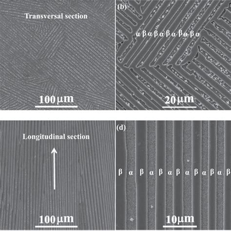 Lamellar Ni Ni3si Alloys Produced By Directional Solidification Download Scientific Diagram