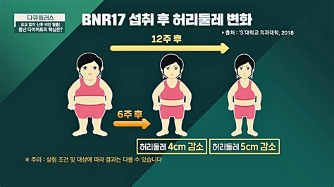 요요 없이 산후 비만 탈출 다이어트의 핵심 → 다이어트 유산균 Bnr17 Jtbc 240623 방송 Zum Tv