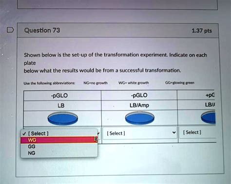 Solved Question 73 137 Pts Shown Below Is The Set Up Of The