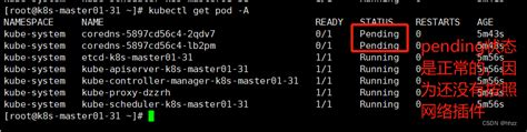 k8s集群重新初始化 详细过程 kubectl reset csdn博客