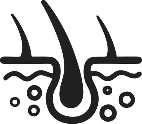 头发简笔画，头皮毛囊