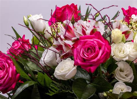 Vackra Blomsterbukett Av Rosor Och Freesier Arkivfoto Bild Av