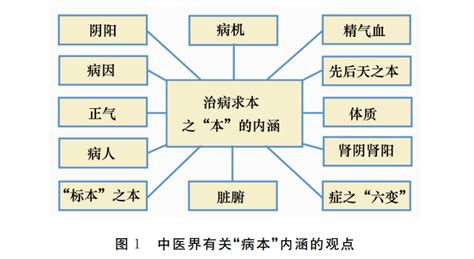 中医辨证论治 图库 五毛网