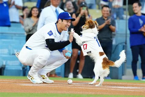 ドジャースオリオールズ始球式にデコピンを抱え登場した大谷翔平撮影西尾 大助 スポニチ Sponichi Annex 野球