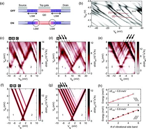Switching The Coupling To The Vibration On And Off A Schematic Download Scientific