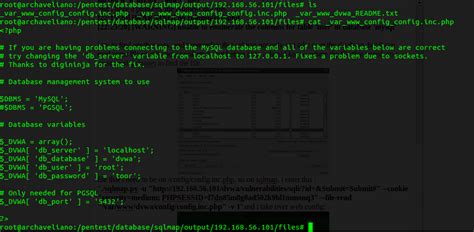 Experience Simple Attack Vector With Sqlmap File Read Dirbuster