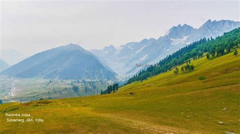 Kashmir Great Lakes Trek From Sonamarg To Nichnai