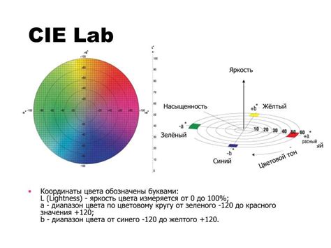 The Essentials Of H R Diagram Lab A Guide To Understanding Stellar Evolution