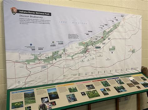 Embrace The Dunes At Indiana Dunes National Park