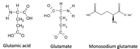Is Msg Dangerous Or Is It Safe Ideal Nutrition