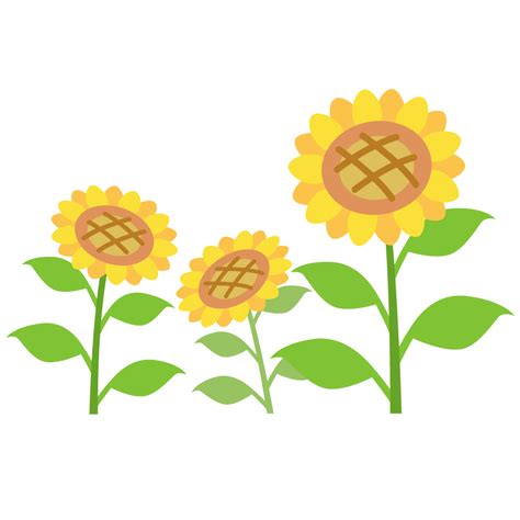ヒマワリのイラスト 園だより、おたよりで使えるかわいいイラストの無料素材集【イラストだより】