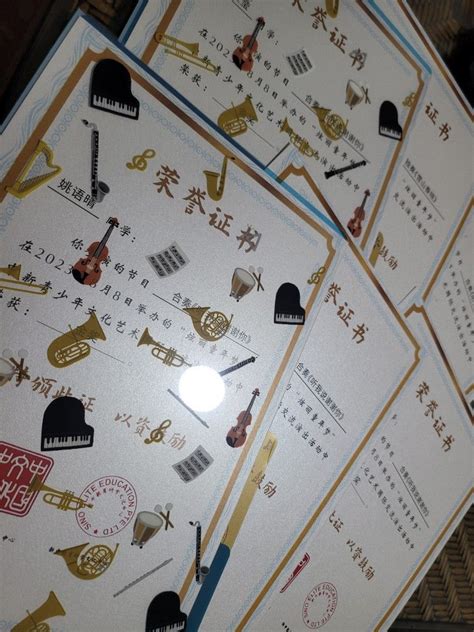 Pipazhong Ruan Lesson Hobbies And Toys Music And Media Musical Instruments On Carousell