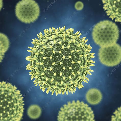 Pollen Grains Illustration Stock Image F0245473 Science Photo