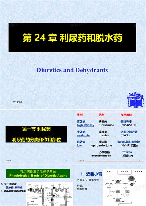 利尿药ppt模板下载编号lmpxobxy熊猫办公