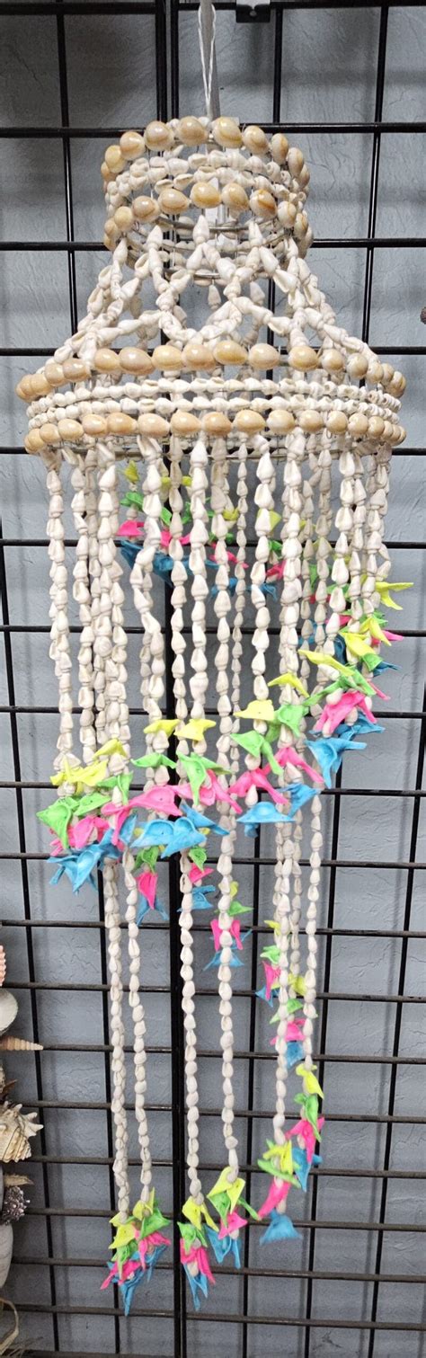 48 Assorted Nassa Spiral Darlenes Shells