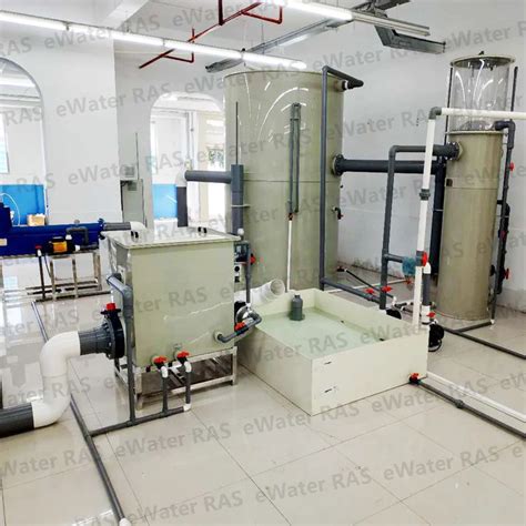 Ras Recirculation Aquaculture System For Giant Freshwater Prawn China