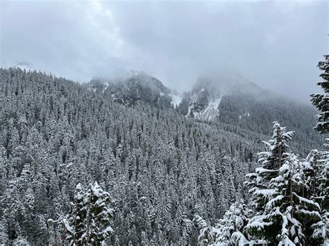 미국 마운트 레이니어 국립공원 일일 투어 시애틀 출발 Kkday