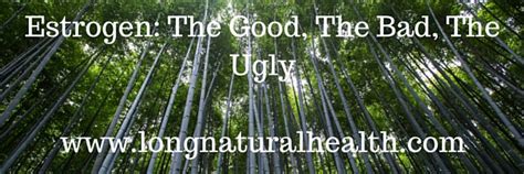 Estrogen The Good The Bad The Ugly Long Natural Health Blog