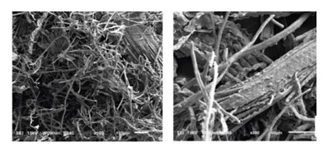 Cellulose Images Obtained From Rice Husks And Taken Under Scanning Download Scientific Diagram