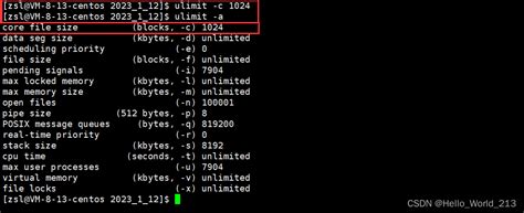 【linux】信号机制非实时信号