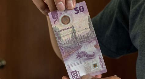 3 Sitios De La CDMX Donde Puedes Vender Tus Monedas Y Billetes