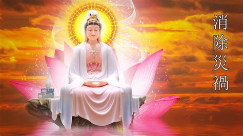 大悲咒1天1遍消除災禍 🙏🏻💕 平安健康🙏🏻 得菩薩保佑 帶來福報🙏 念佛積福消除災禍🌷 一切諸菩薩慈悲與加持 慈佑眾 大慈大悲救苦救難 🌷