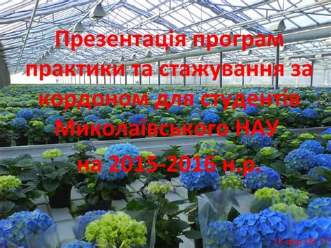 програми практики за кордономpptx восстановлен Ppt