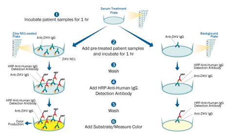 Human Anti Zika Virus Igg Elisa Kit Zik00 Randd Systems