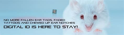 Home Unified Information Devices