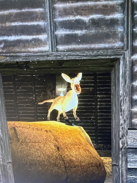 Im Scared R Gmod