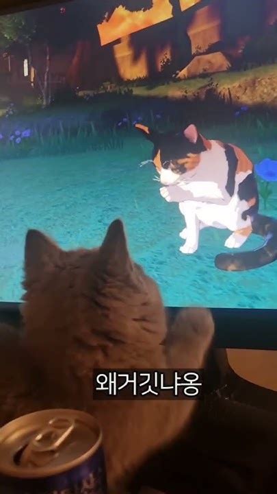 친구를 만난 몽이 Youtube