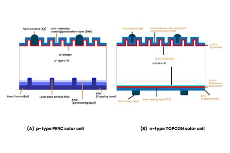 Topcon Solar Cells Vs Perc Solar Cells A Complete Guide