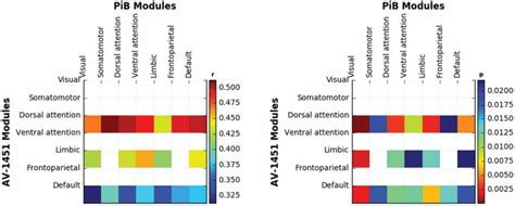 pib and av 1451 intra tracer correlation matrix left panel and