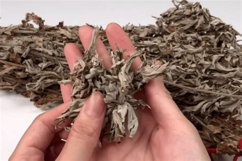 艾草烧一烧放房间里太实用了，解决了不少人的困扰，实用又省钱艾叶