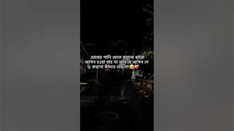 চোখের পানি ফেলে কারো আপন হওয়া জাইনা ️‍🩹 ️‍🩹 ️‍🩹 Unfrezzmyaccount Sad