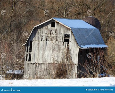 Old Sagging Wood Barn Gambrel Roof In Fingerlakes Nys Royalty Free