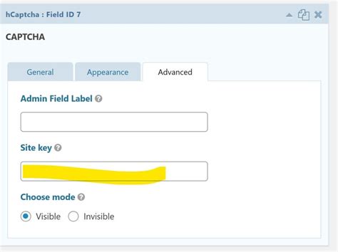 Replacing Recaptcha In Gravity Forms Webxopt