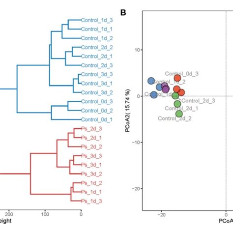 Hierarchical Clustering Analysis A And Principal Component Analysis