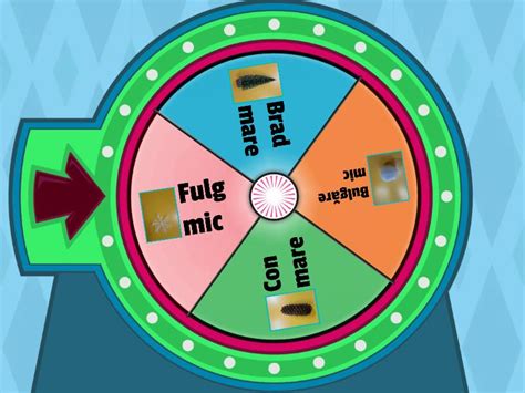 DȘ Joc Didactic Etapa Complicarea Jocului Random Wheel