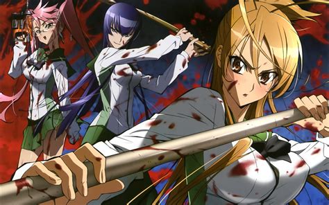 #227558 2560x1600 Saeko Busujima - Rare Gallery HD Wallpapers